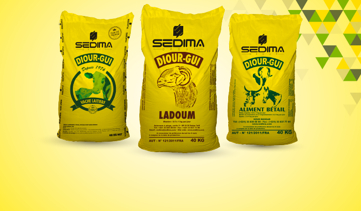 SEDIMA